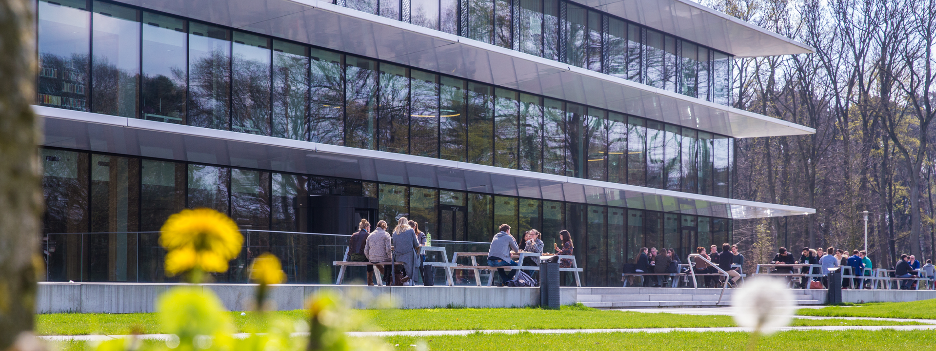 Radboud University - Academic Positions