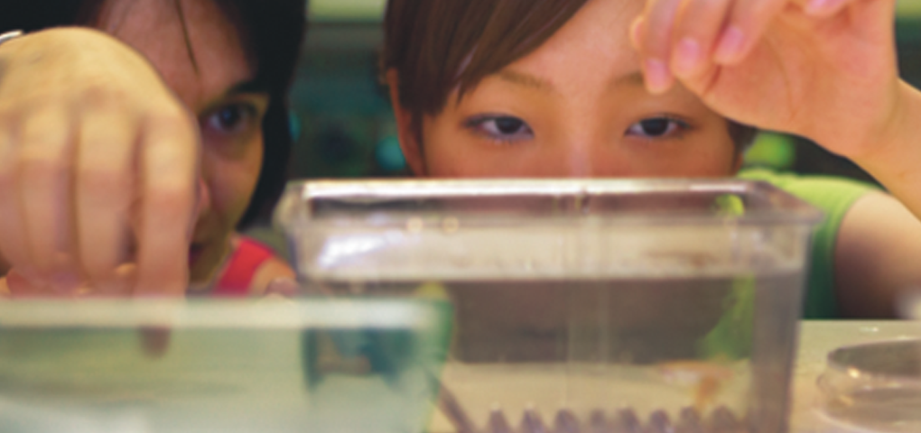 Academic, research and science jobs - Academic Positions