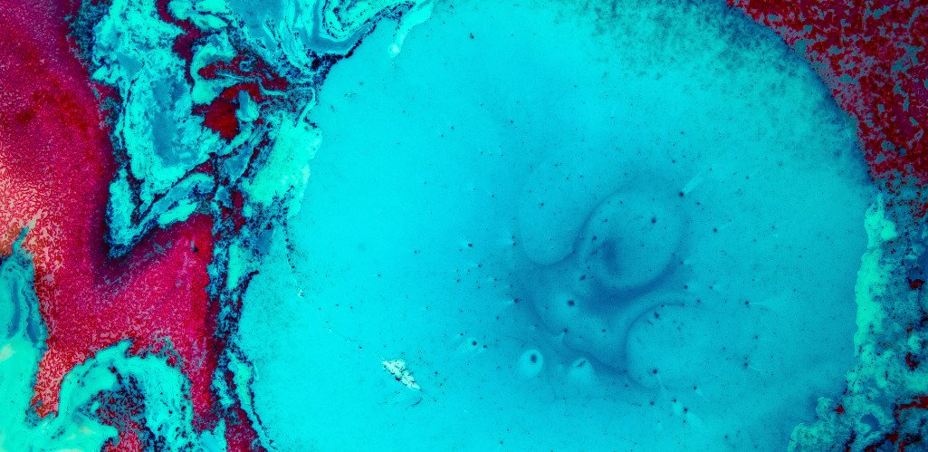 Turning Live Bacteria into USB Drives - Academic Positions